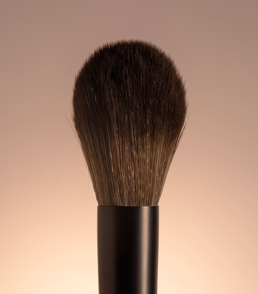 blush brush